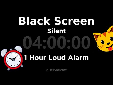 Black Screen 🖥 4 Hour Timer (Silent) 1 Hour Loud Alarm | Sleep and Relaxation