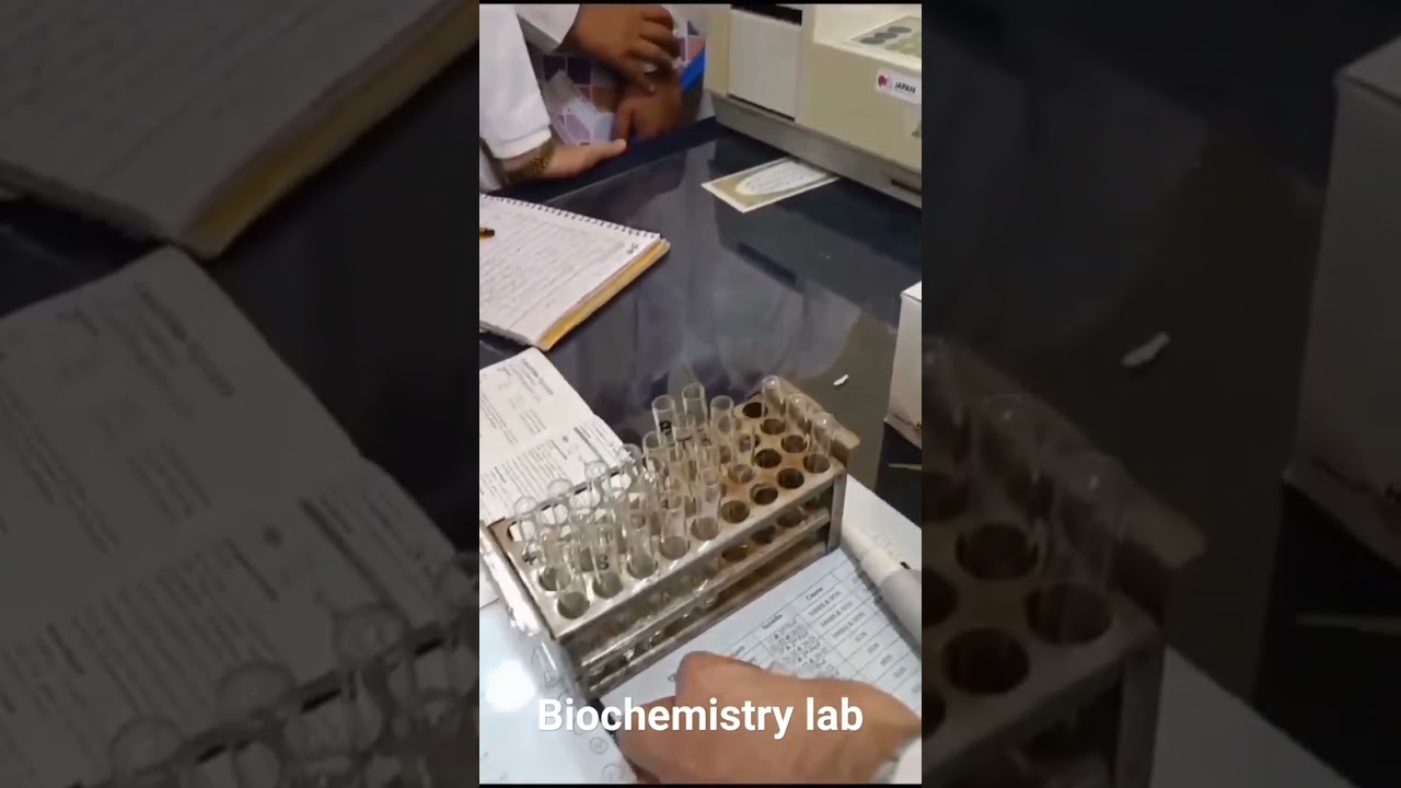 Practical Biochemistry lab|| cholesterol level|| #medicalcollege #medico #biochemistrylab #mbbs #lab