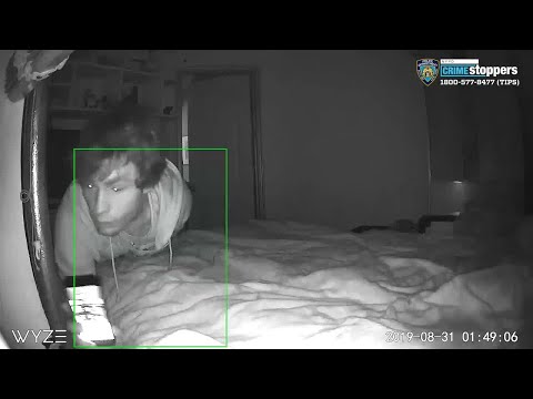 Caught On Camera: Suspect Wanted For Stealing Electronics From Greenwich Village Apartment