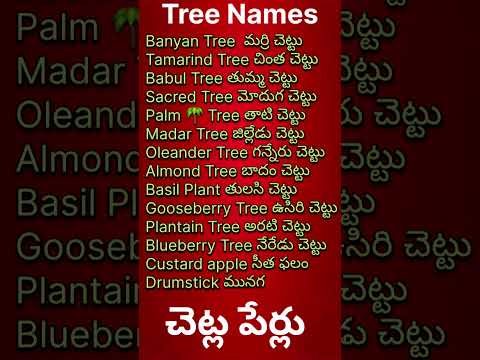 Trees Names In Telugu to English