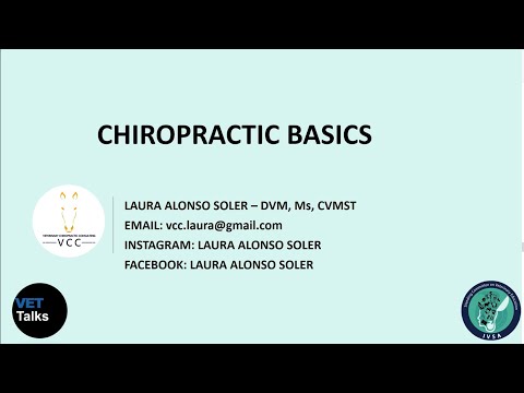 VET Talks - Chiropractic basics