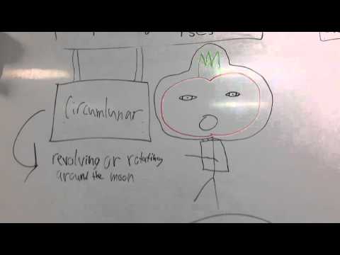 Root Word-Circum