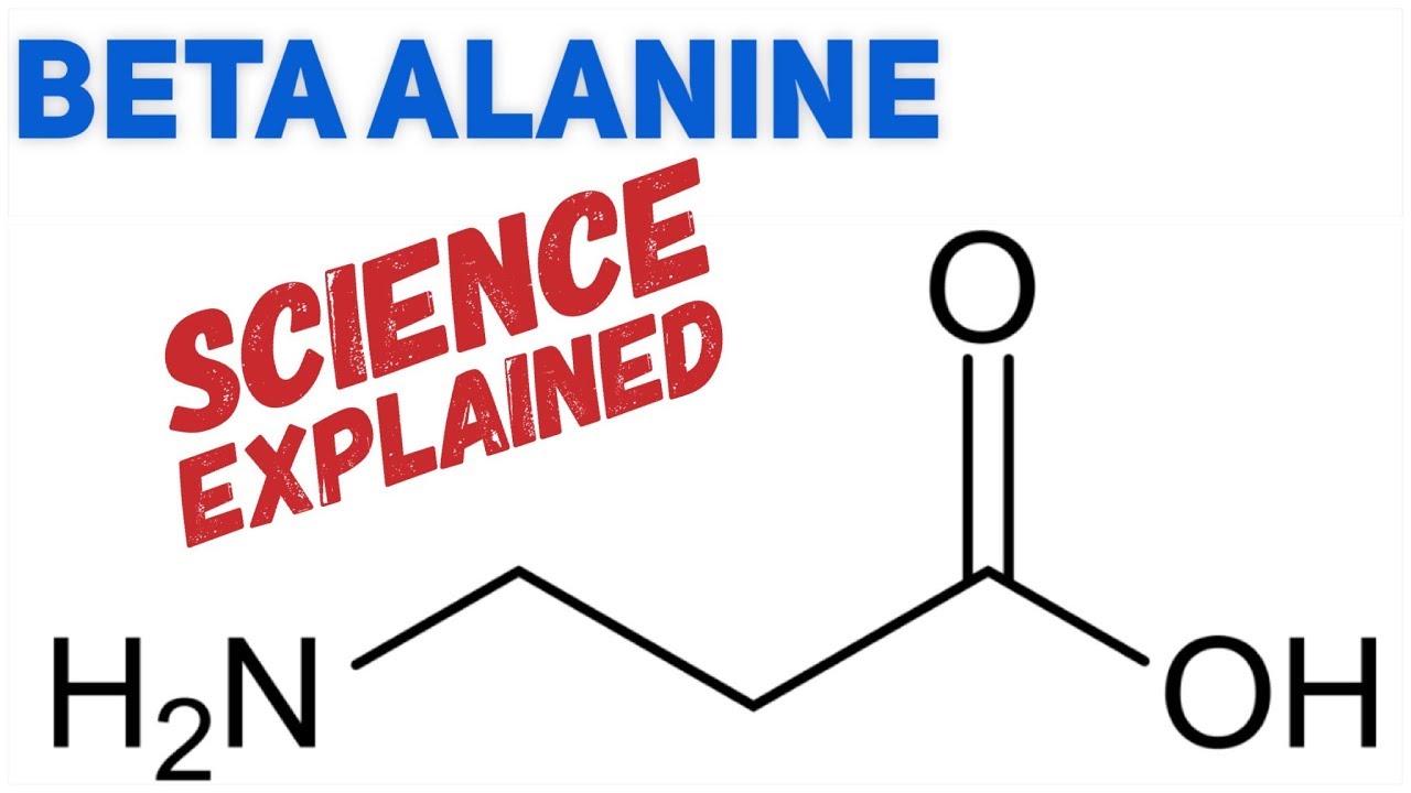 How Does Beta Alanine Work? Science Behind Beta Alanine - Science Based Explanation
