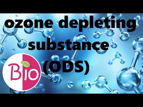 What is ODS ozone depleting substance? by Simply The Best BIO