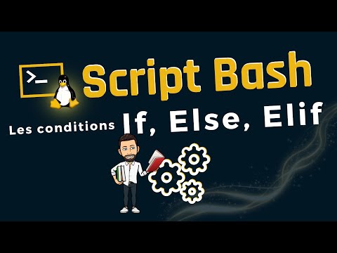 Script Bash - Maitrisez les conditions If, Else, Elif