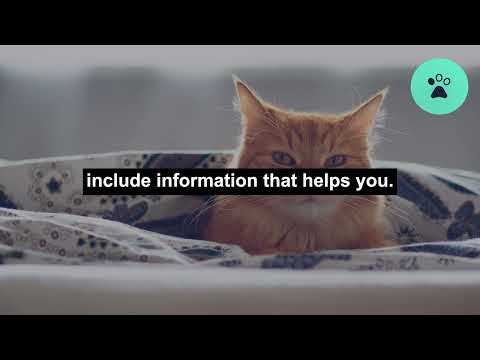 Introducing MyPetHealth App