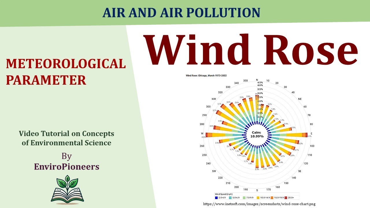 Wind Rose Explained | Components, Wind Speed Classes & Interpretation