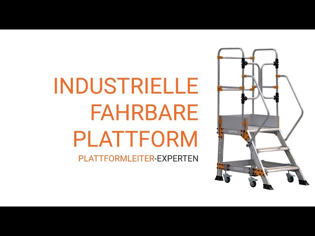 Fahrbare Stehleiter für Regale mit Sicherheitstür