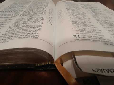 Day 198 - Isaiah 18-22 JUST THE WORD