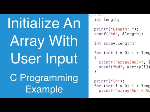 Initialize An Array With User Input | C Programming Example