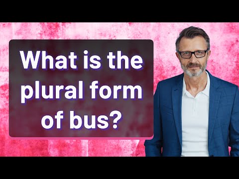What is the plural form of bus?