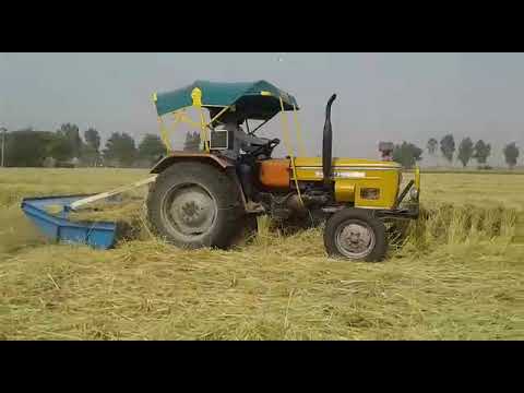 Shrub Master - Shrub Master Grass Cutter Machine Latest Price ...