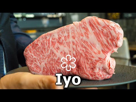 A pranzo da IYO, ristorante GIAPPONESE con una stella Michelin ⭐