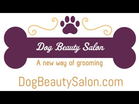 Dog Grooming - Dog Beauty Salon - Los Angeles, CA