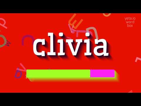How to say "clivia"! (High Quality Voices)
