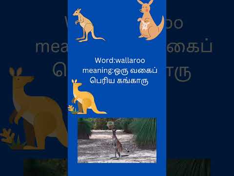 Meaning of wallaroo