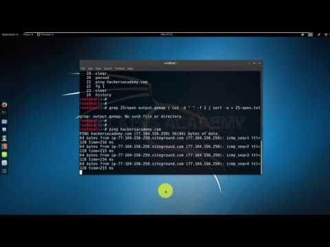 Kali Linux Terminal Signals and Shortcuts