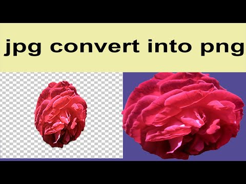 how to convert jpeg image to png format | how to convert jpg to png windows 10 2022