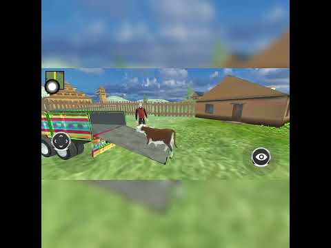 #cow load to the truck#