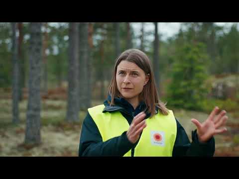 Protecting species in our forests