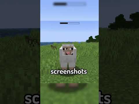 Mini Mod Reviews - Camera Mod