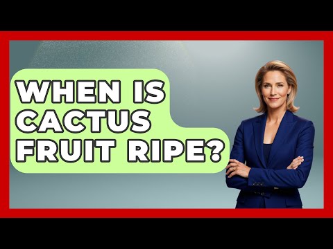 When Is Cactus Fruit Ripe? - The Plant Enthusiast