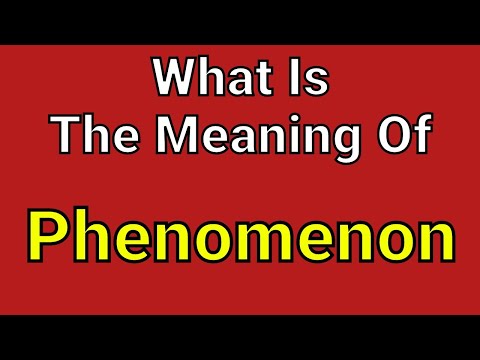 Meaning Of Phenomenon | Phenomenon | English Vocabulary | Most Common Words in English