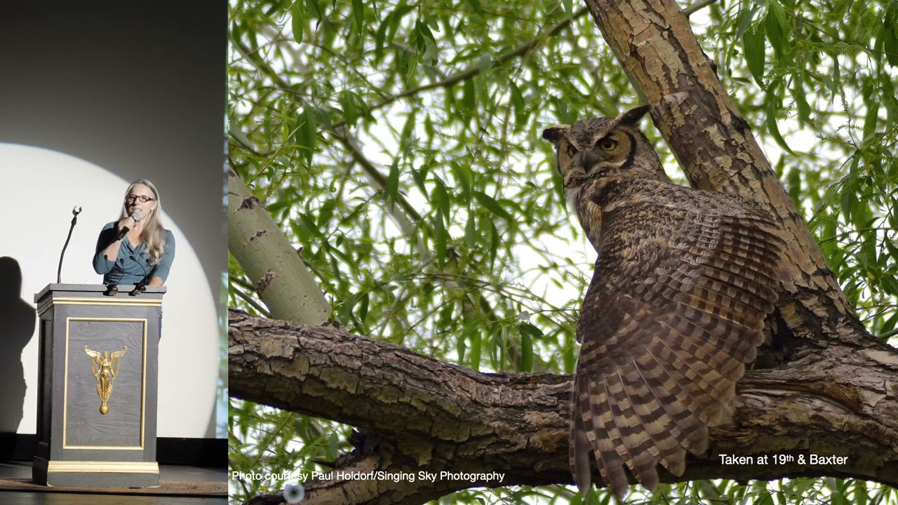 Angie Kociolek - Urban Trees: Coding for the Future