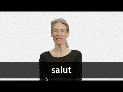 English Translation of “SALUT” | Collins French-English Dictionary
