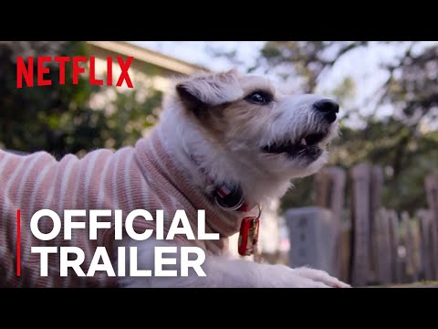 Netflix's New Docuseries About Dogs Is Going To Rip Your Heart Out