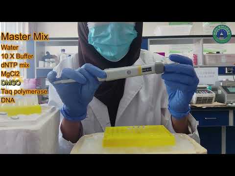 Preparing master mix and PCR reaction