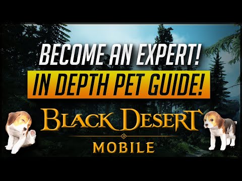 [Global] In Depth Pet Guide!! Everything You Need To Know About Pets! | Black Desert Mobile