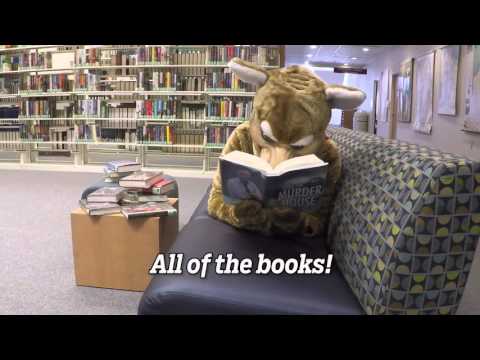This is Cougar Country: Library Lovers Month