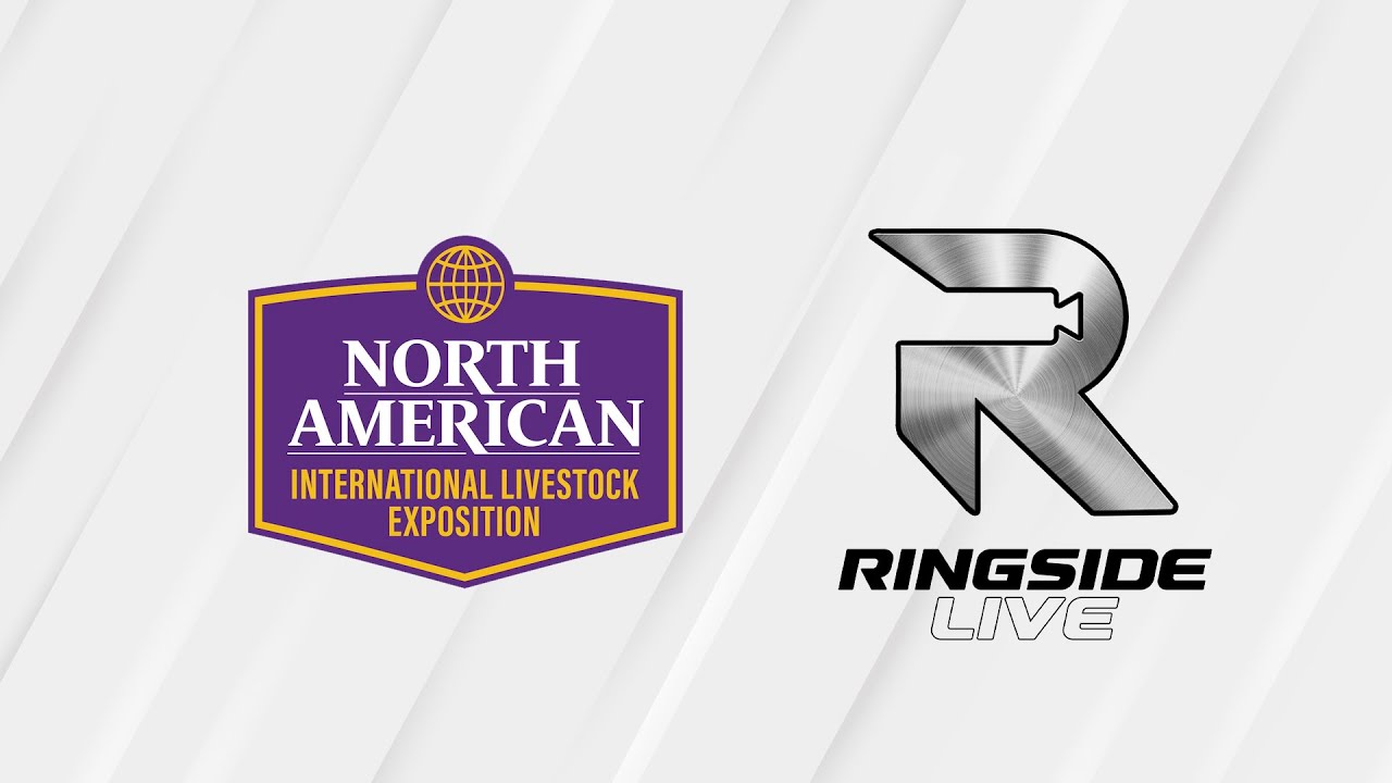 Open Breeding Sheep Show - Ring B - Thursday - NAILE 2025