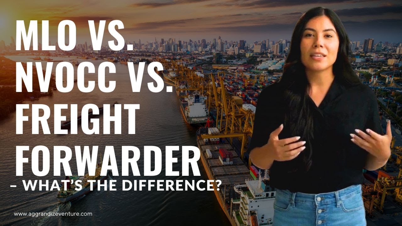 MLO vs NVOCC vs Freight Forwarder | Key Differences in International Shipping Explained