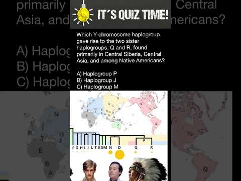 Y chromosome Haplogroups Phylogenetic Tree