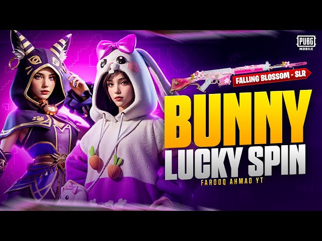 How to get the PUBG Mobile Falling Blossom SLR skin