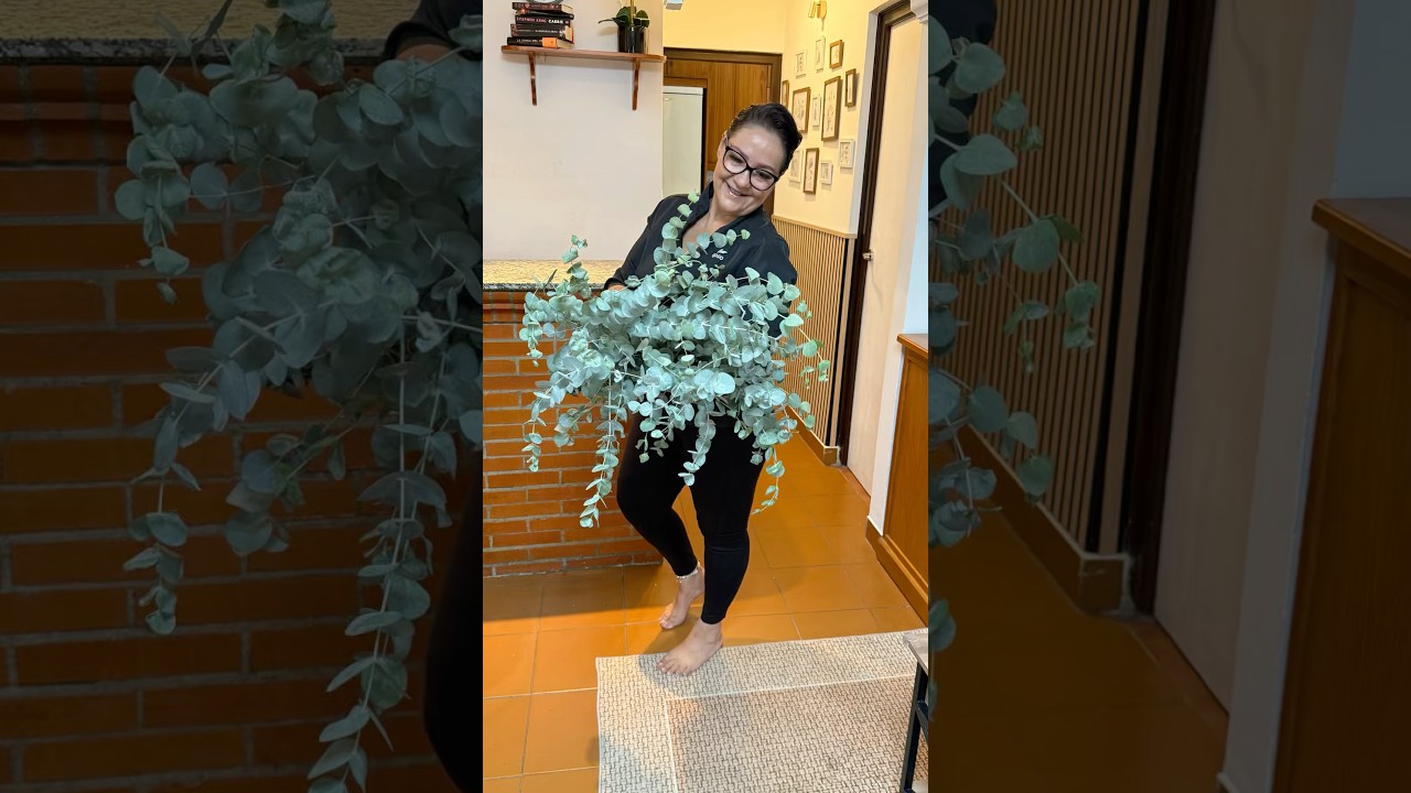 How to preserve eucalyptus #yolandavaquitayoli #eucalyptus #plants #home