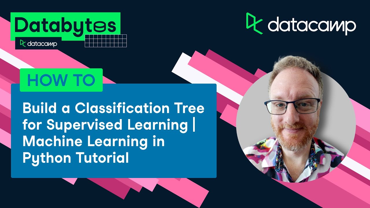 How To Do A Classification Tree in Python | Machine Learning in Python | Databytes