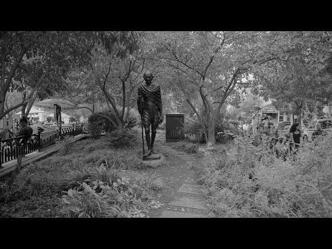 Nikon Z8 + RED Achromic LUT (8k RAW) (1695)