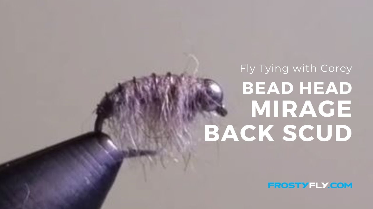 Fly Tying: Bead Head Mirage Back Scud by Corey Cabral