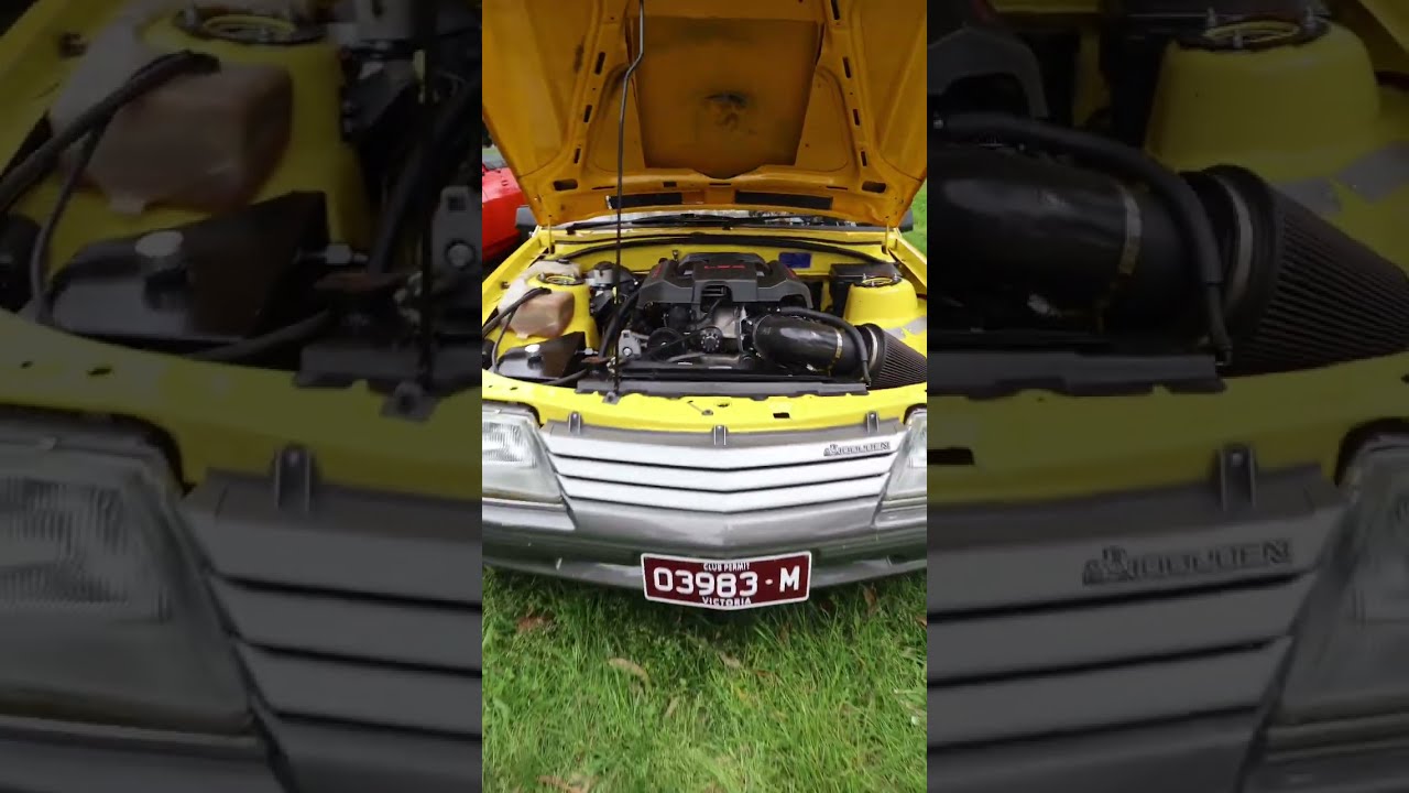 It’s what non car people just don’t get. #holdencommodore #shorts #carshorts