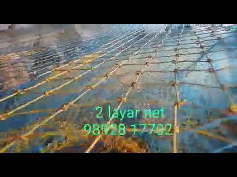 HDPE Net at Best Price in India