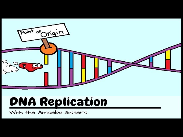 Understanding DNA Replication: The Cell's Intricate Process | Galaxy.ai