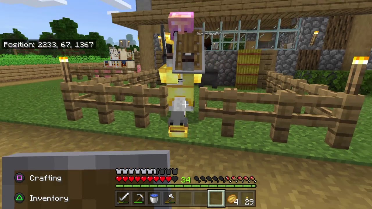bestiality in minecraft?