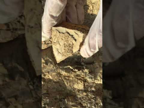 Cold Setting Compound - Cold Set Epoxy Latest Price, Manufacturers ...