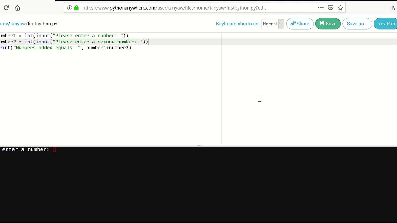 Python Input Function and comments