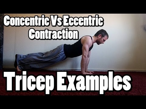 Concentric VS Eccentric Contraction Differences (Bodyweight Examples)
