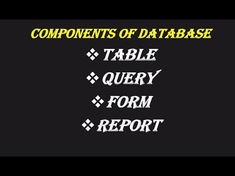 component of Database MS Access| Database basics in Urdu/Hindi| Database computer 2nd year lectures