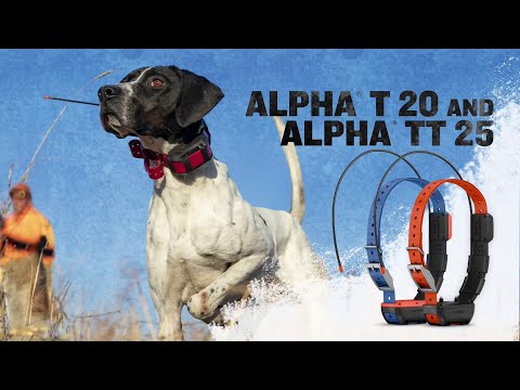 Garmin Alpha TT 25 Electronic Training Collar | Sportsman's Warehouse